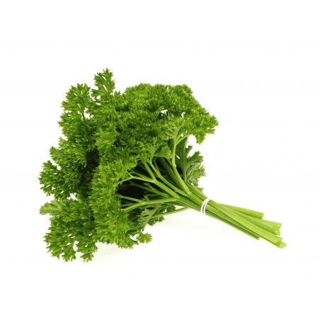 Destockage PERSIL FRISE CASE