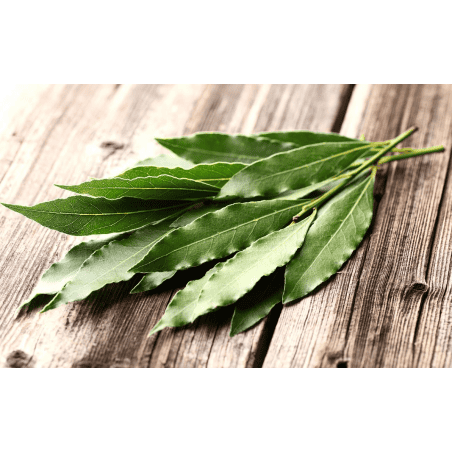 Destockage LAURIER CASE