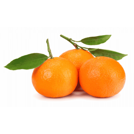 Acheter en gros CLEMENTINE ORRI CLASS 1 MEHADRIN Conditionnement Au Kilo